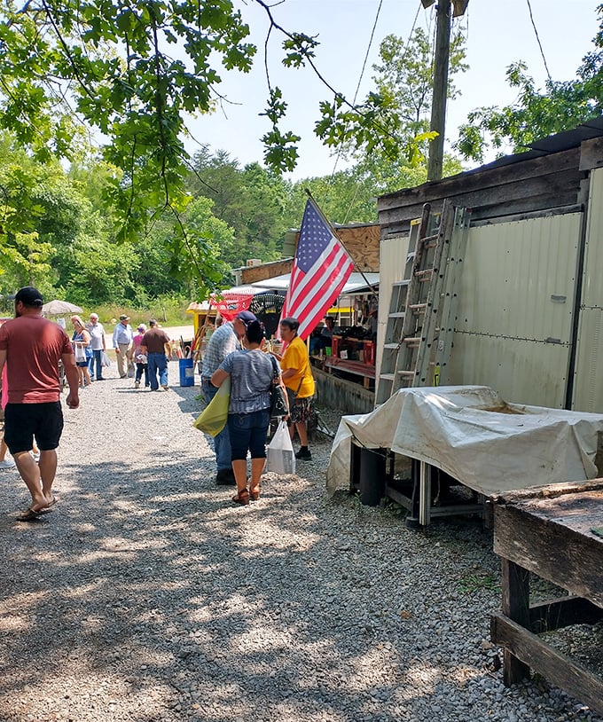 American flags wave over tables of memories, where patriotism meets the fine art of bargain hunting.