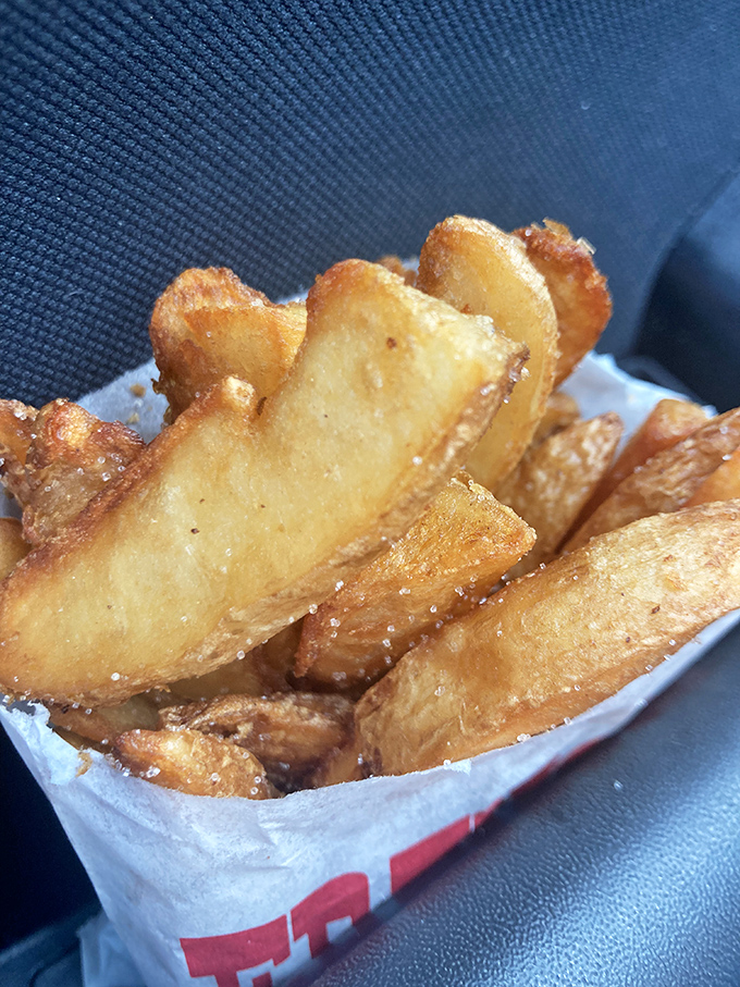 Golden, crispy potato perfection. These aren't just fries—they're the supporting actors that deserve their own Oscar nomination.
