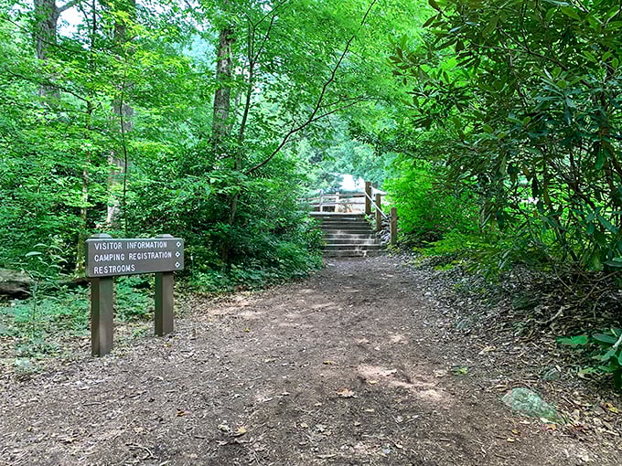 The path to adventure starts with a simple wooden sign. Like all great journeys, this one begins with a few steps and ends with stories.