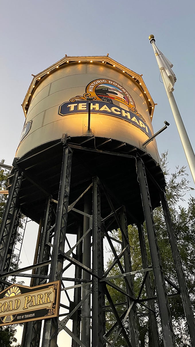 Up close, the historic water tower reveals its impressive engineering and charming details. It's not just infrastructure—it's a community landmark.