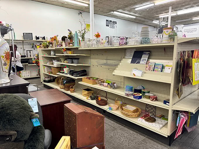 The home décor aisle: where someone else's "no longer sparks joy" becomes your living room's conversation piece for less than the cost of dinner out.