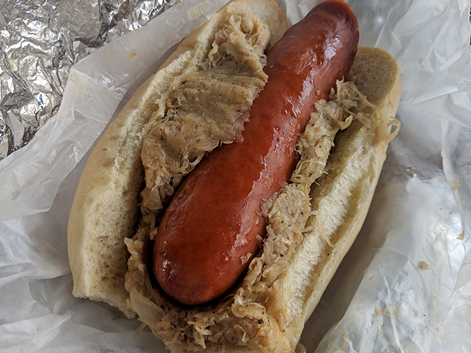 Not just any hot dog—this kielbasa on a bun with sauerkraut is what Oscar Mayer wishes he could make. Pure Polish-American harmony in handheld form.