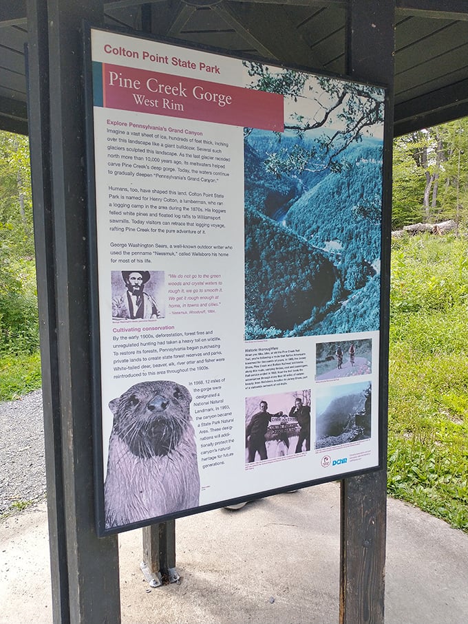 Nature's Wikipedia page – where you learn that otters once thrived here and George Washington himself appreciated these views.
