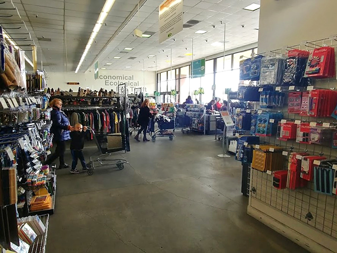 The thrift store runway, where shoppers become explorers. Every aisle promises discovery, from forgotten treasures to next week's conversation piece.