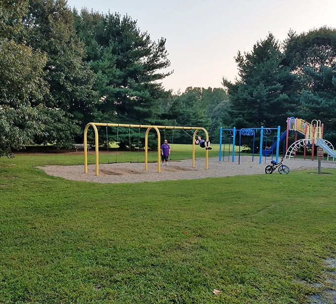 Playground paradise where kids burn energy while parents secretly wish those swings came in adult sizes. We all know who's really having swing envy.