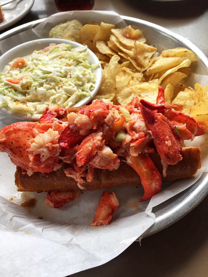The legendary lobster roll – where Maine tradition meets California abundance in a buttery, overstuffed masterpiece.