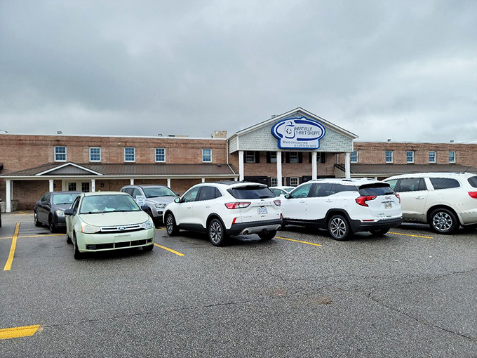 The packed parking lot—first sign of a successful thrift store. Like bees to honey, savvy shoppers flock to where the bargains bloom.
