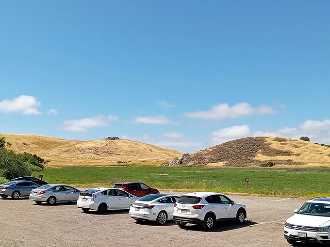 The parking lot—where adventures begin and air conditioning reluctantly gets turned off on summer days.