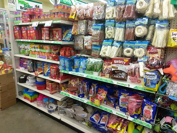 Fido and Fluffy deserve treats too! This pet section proves loving your four-legged family members doesn't require emptying your retirement account.