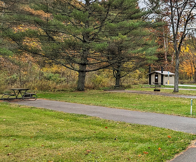 Picnic tables and pine trees—the original outdoor dining experience that never needs a reservation or dress code.