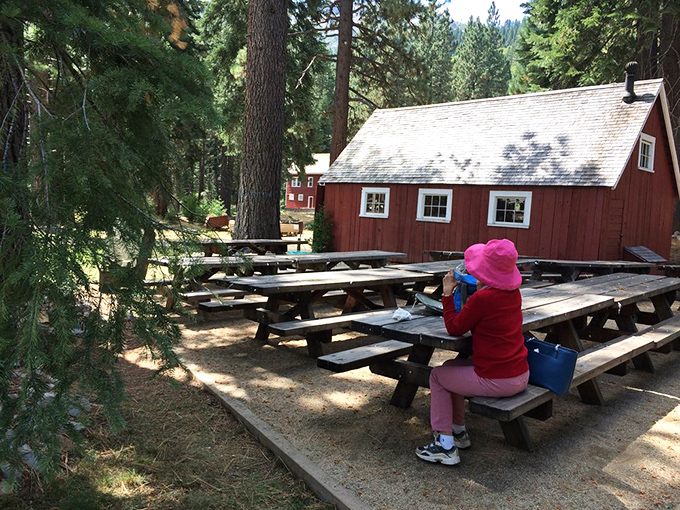 Perfect picnic spots where the only crowds are chipmunks plotting sandwich heists.