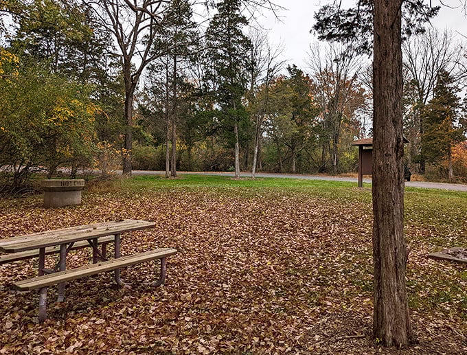 Perfect picnic spot where your sandwich tastes better surrounded by nature's dining room.