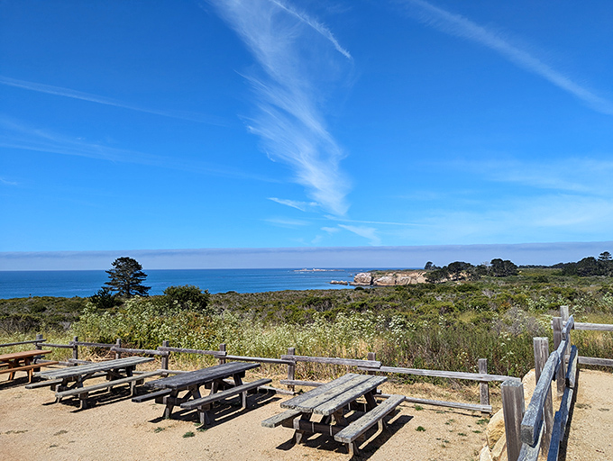 Picnic tables with million-dollar views where your sandwich comes with a side of spectacular scenery and vitamin sea.