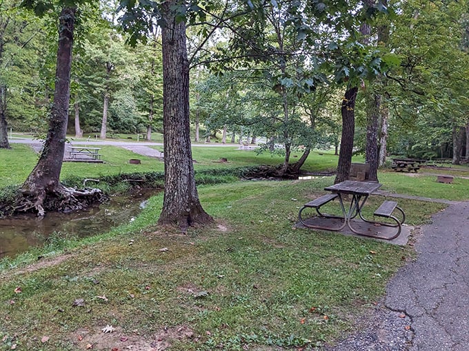 Picnic tables positioned by a gentle stream—Mother Nature's lunch counter. The service is slow but the ambiance is unbeatable.