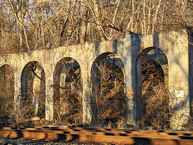 These weathered stone arches stand as silent witnesses to the area's industrial past and limestone quarrying heritage.