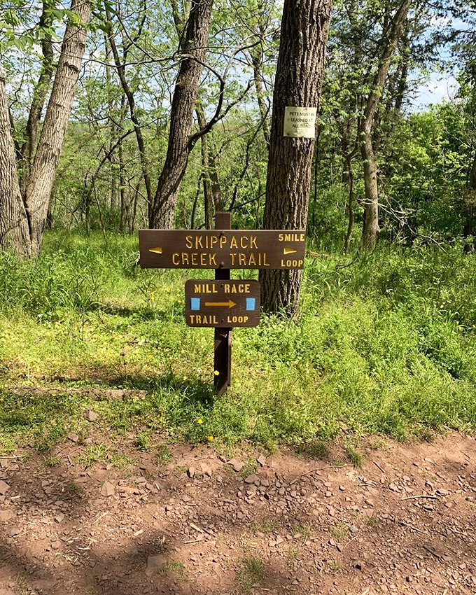 Trail markers: the original GPS system. The Skippack Creek Trail promises five miles of Pennsylvania's finest scenery without a single pop-up ad.