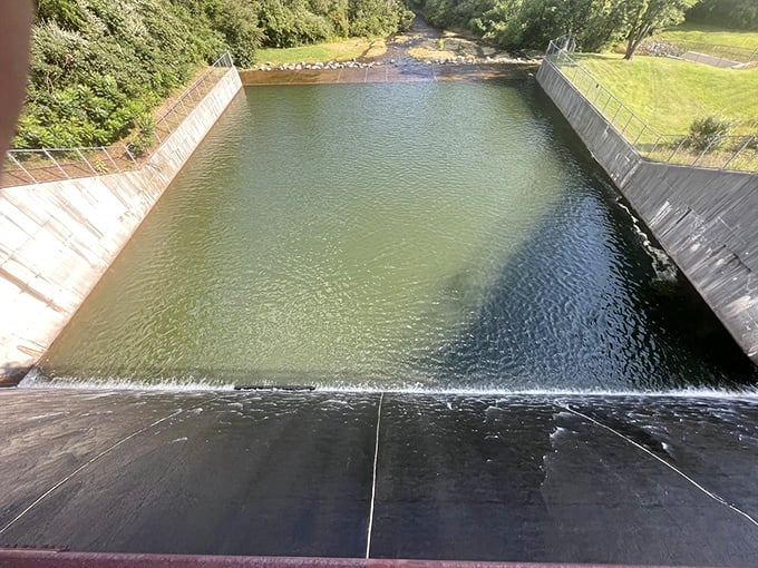 The spillway creates nature's infinity pool effect, a man-made feature that somehow enhances rather than intrudes upon the park's natural charm.