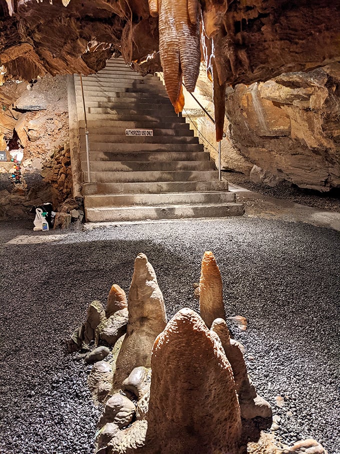 Stairway to the center of the earth? These steps lead adventurers deeper into Virginia's underground realm, where time itself seems suspended.