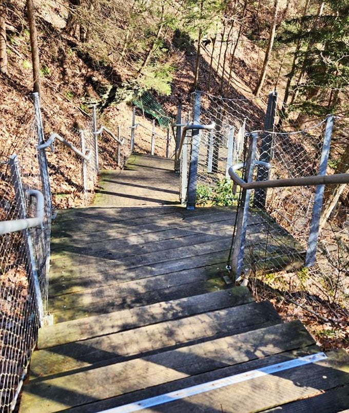 These stairs don't just lead down—they lead back in time. Each step brings you closer to the primeval experience waiting at the bottom.