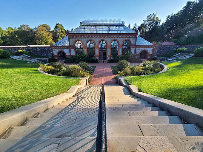 These grand steps lead to the conservatory like a botanical red carpet. Each one brings you closer to plant paradise—no acceptance speech required.