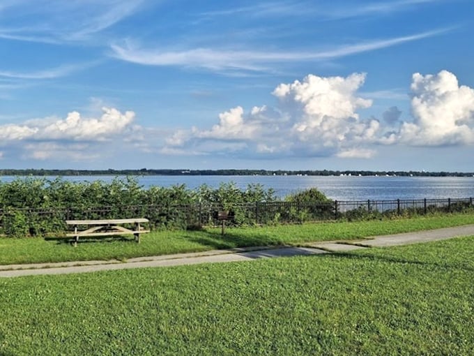 Picnic perfection: where your sandwich comes with a side of spectacular. That bench isn't just furniture—it's front-row seating to nature's show.