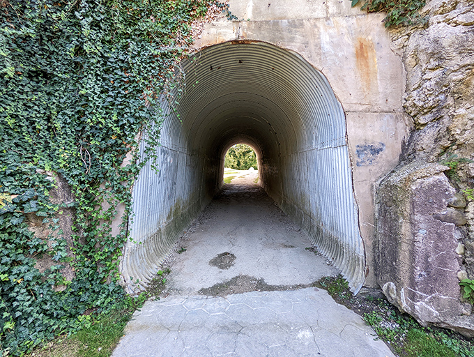 Nature reclaims this tunnel with determined ivy, creating what looks like a portal to another world—or at least to a really great hiking trail.