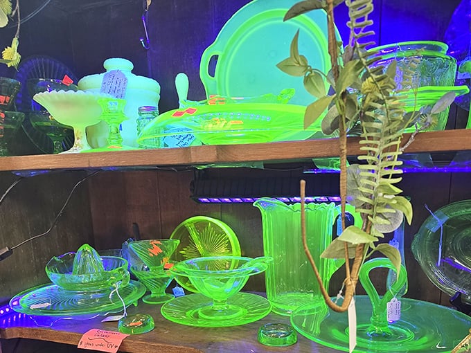 Uranium glass glows an otherworldly green under black light—part science experiment, part vintage treasure, all conversation starter for your next dinner party.