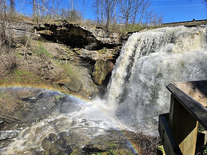 Mother Nature showing off again—creating rainbows from nothing but sunlight and mist. Talk about doing more with less!