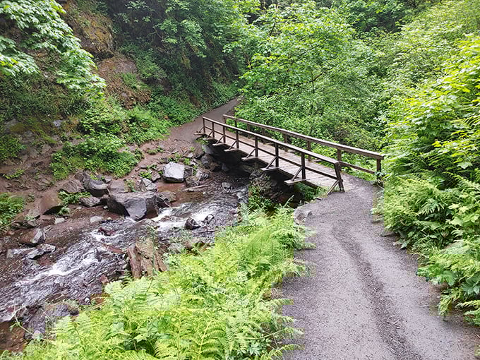 Nature's perfect crossing: This humble footbridge might not be the Golden Gate, but it offers something San Francisco can't—tranquility and the music of rushing water.lls