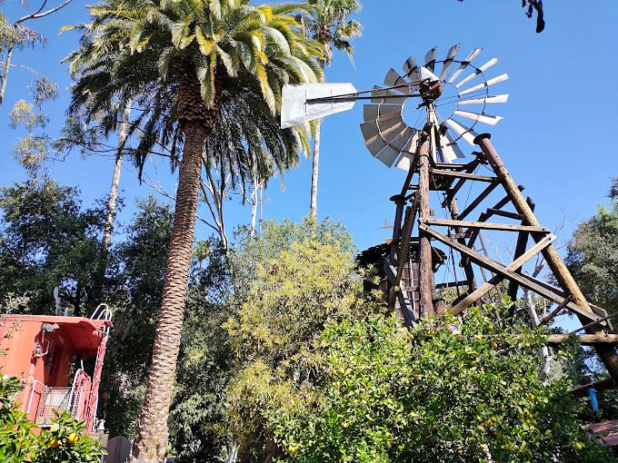 California dreaming meets prairie practicality. This windmill stands sentinel among palm trees—perhaps the most SoCal castle feature ever constructed.