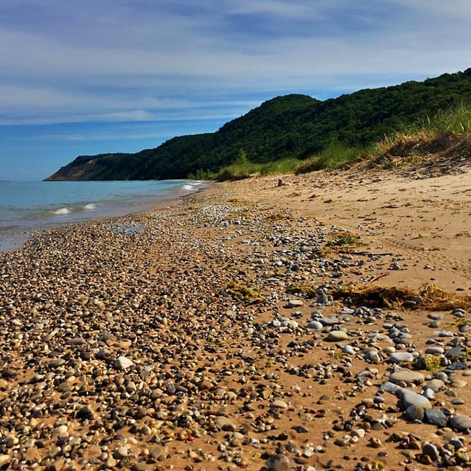 Nature's jewelry box spilled open! These smooth stones tell geological stories older than your grandmother's best recipes.