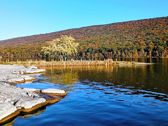 Bald Eagle State Park offers that rare combination – lush green grass leading to refreshing blue waters with mountain views.