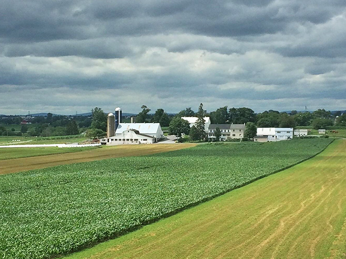 Dramatic skies over patchwork fields—Mother Nature showing off her quilt-making skills better than any Pinterest tutorial.