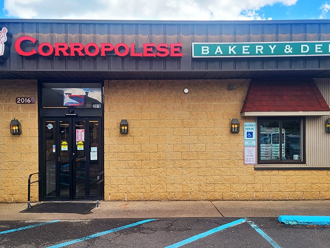 Corropolese's no-nonsense exterior is the Clark Kent disguise for a superhero of Italian baking. Tomato pie central!