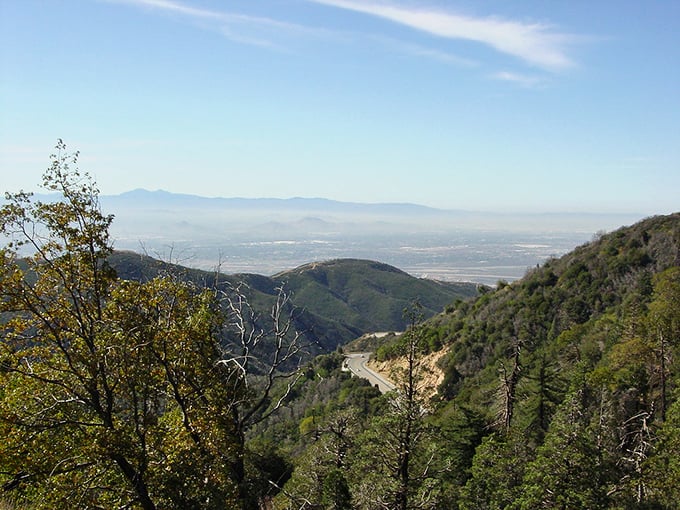 Crestline's mountain roads wind through pine forests and small neighborhoods. Rush hour here means three cars at the stop sign!