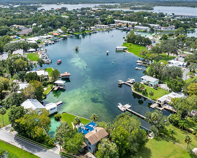 Crystal River's untouched coastline—where the manatees have better waterfront property than the humans.
