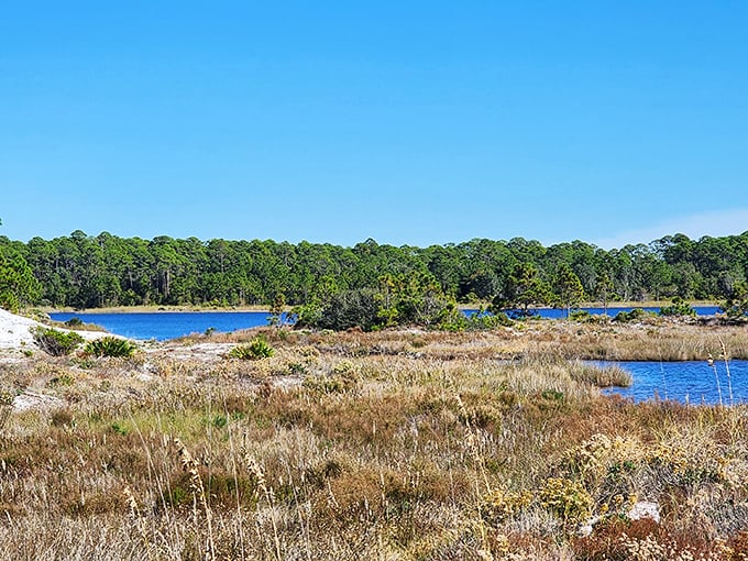 These dunes roll on forever like waves frozen in time – nature's sculpture garden, admission practically free.