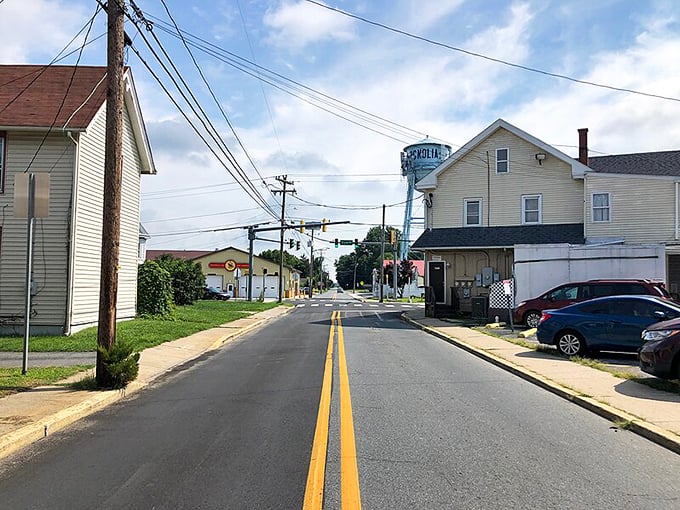 Magnolia's iconic water tower stands tall like a friendly lighthouse guiding families home to this charming Kent County community. 