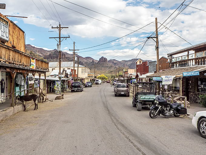 Where else can you share the sidewalk with wild burros who've been the town's unofficial greeters since mining days ended?