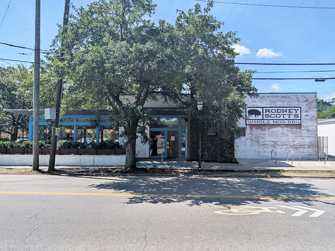 Those bright blue accents aren't just pretty—they're a beacon guiding hungry souls to whole hog heaven in Charleston.