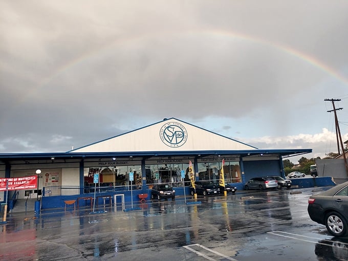 St. Vincent de Paul's storefront might be modest, but don't let that fool you – inside lies a department store's worth of secondhand treasures.