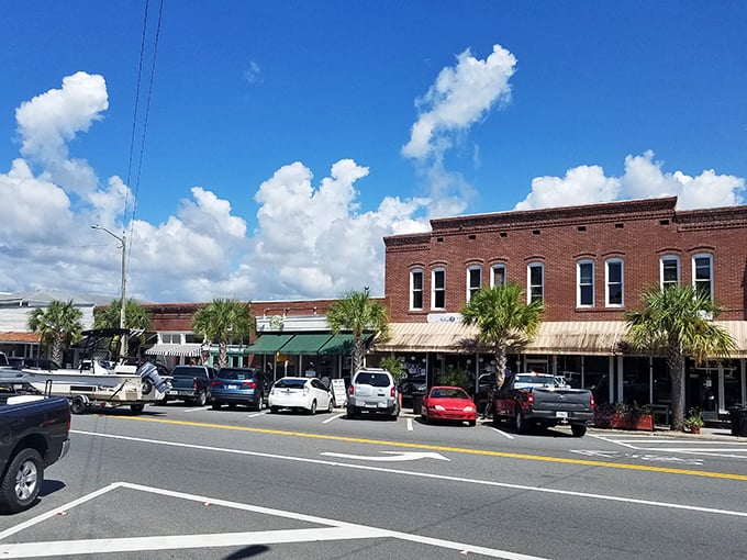 Brick buildings and Spanish moss create Apalachicola's distinctive silhouette—a town where the oyster industry shaped both architecture and attitude.
