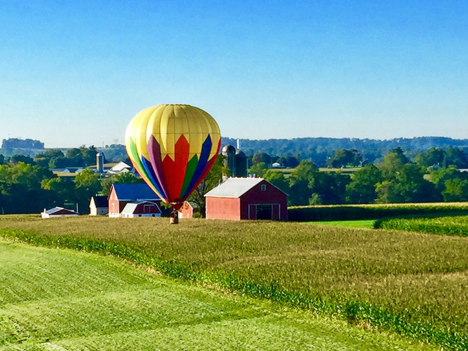 Bird-in-Hand's hot air balloons add splashes of modern color to centuries-old farming traditions below