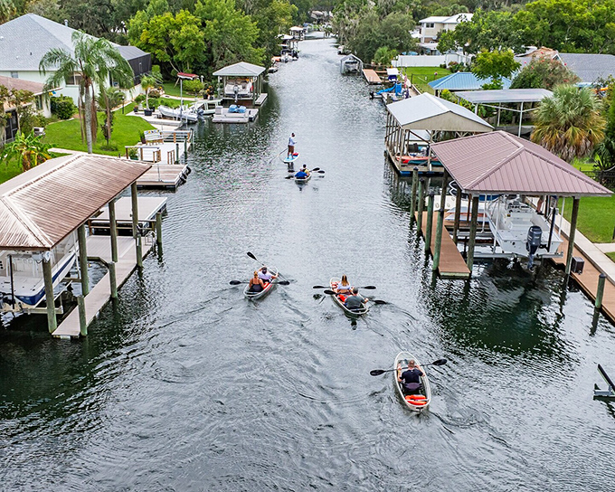 The meeting of land and sea at Crystal River. Somewhere in that pristine water, manatees are living their best lives.