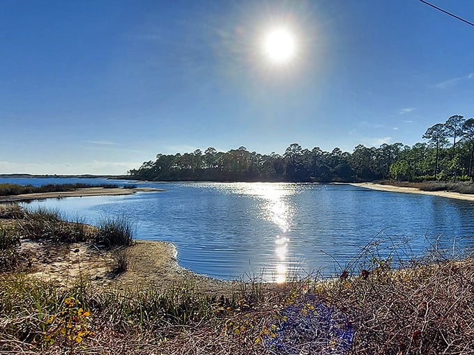 Where pine meets sand, Florida gets interesting – like peanut butter meeting chocolate, but with better views.