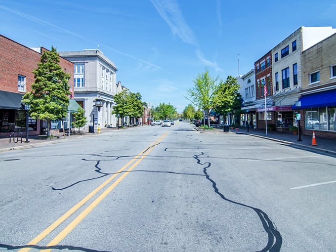 The quiet streets of Edenton whisper stories of colonial days, while trees provide shade for modern-day explorers.