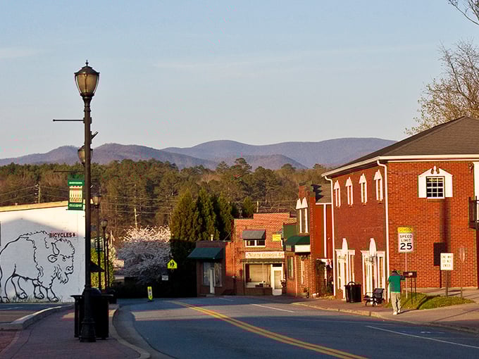 Mountains provide a stunning backdrop to Ellijay, where the views change with the seasons but always remain breathtaking.