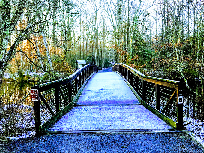 This wooden footbridge in Felton invites you to cross into nature's embrace, where seasonal changes paint the landscape in ever-changing hues.