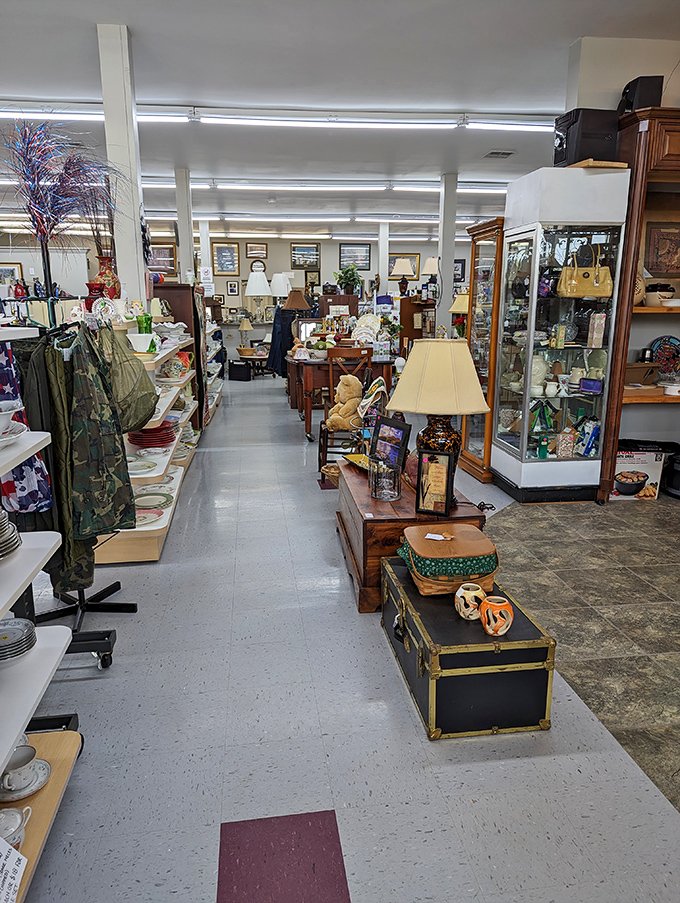 Lamps, frames, and vintage treasures line these aisles—each purchase writes another chapter in the story of rescue and renewal.