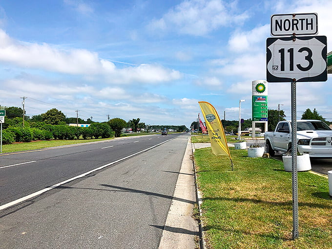 Route 113 runs through Selbyville like a ribbon, connecting neighbors and creating the backbone of this charming community.
